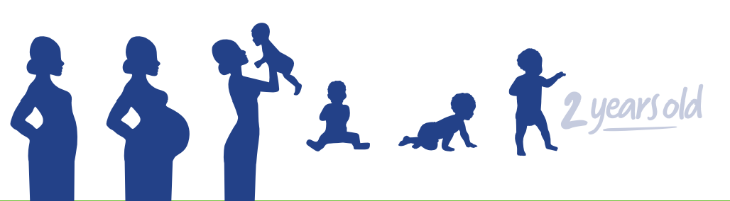 Micronutrient Deficiencies - NutriK Limited